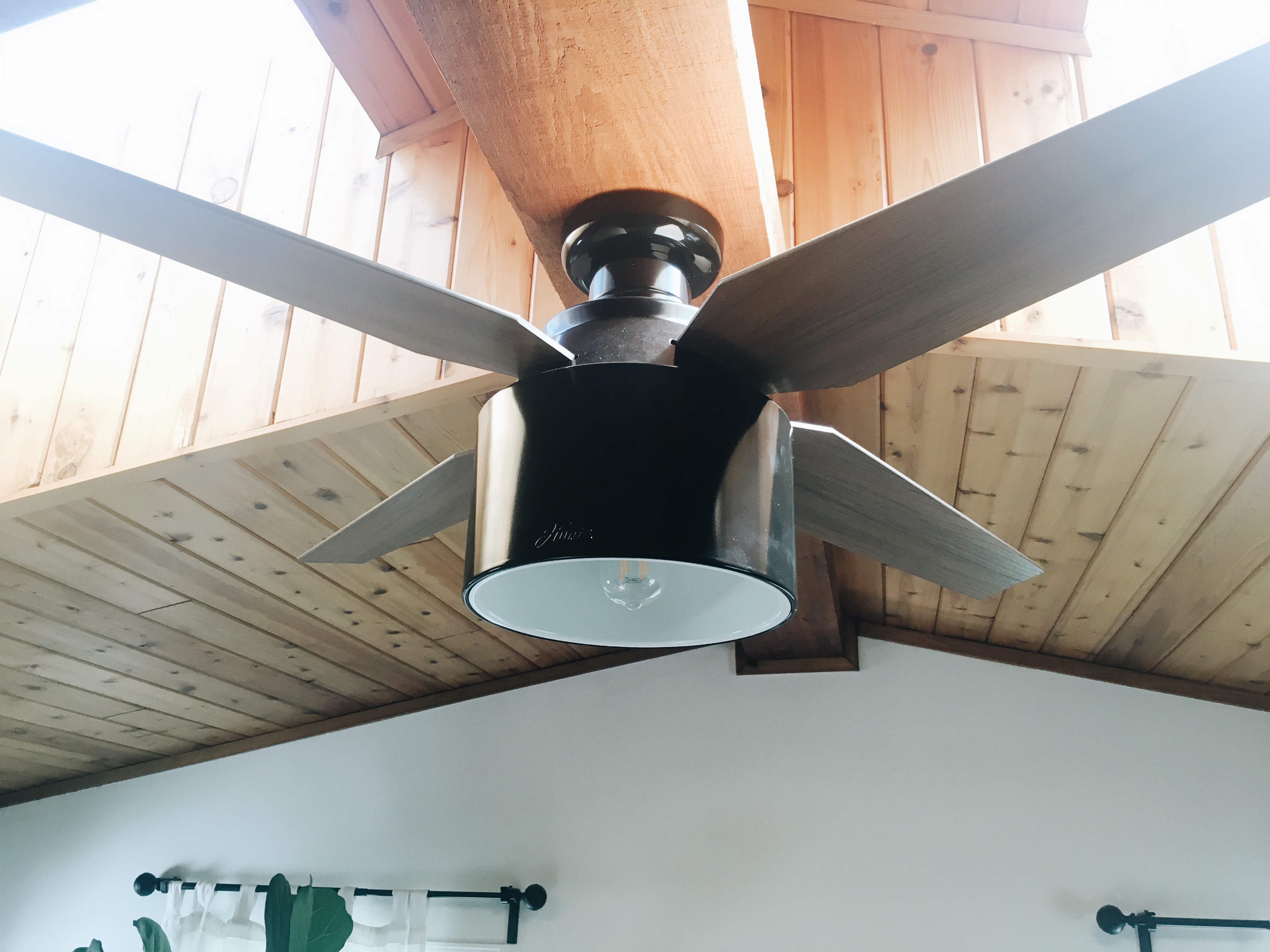 The New Fan